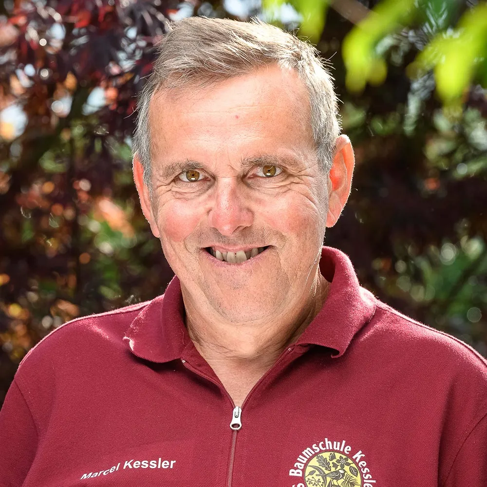 Team / Ansprechspartner